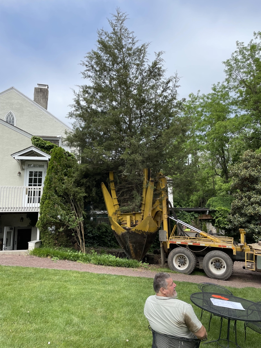 Our Portfolio | Gordon Eadie Landscape & Design