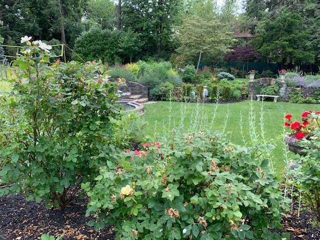 Our Portfolio | Gordon Eadie Landscape & Design