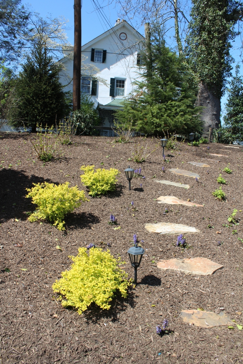 Our Portfolio | Gordon Eadie Landscape & Design