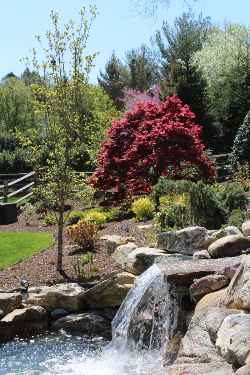 Our Portfolio | Gordon Eadie Landscape & Design