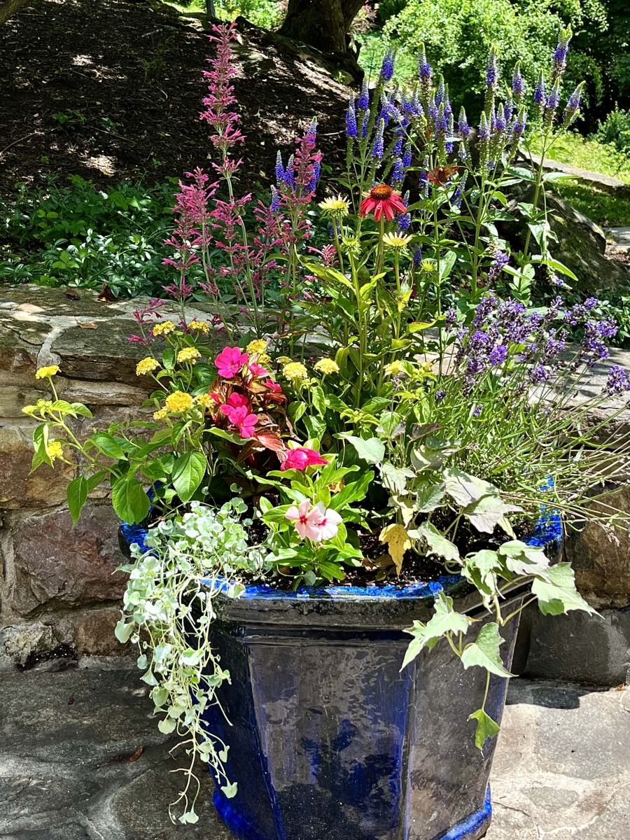 Our Portfolio | Gordon Eadie Landscape & Design