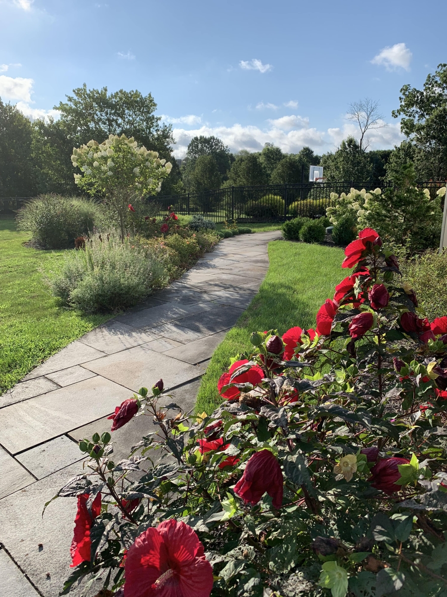 Our Portfolio | Gordon Eadie Landscape & Design