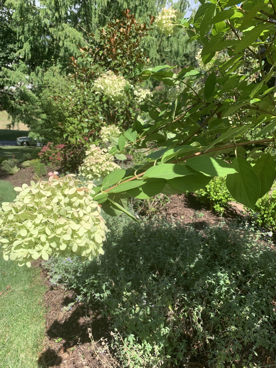 Our Portfolio | Gordon Eadie Landscape & Design