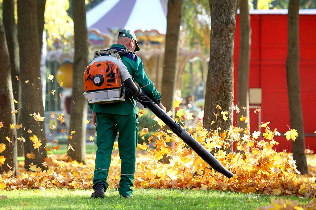 Property Maintenance | Gordon Eadie Landscape & Design