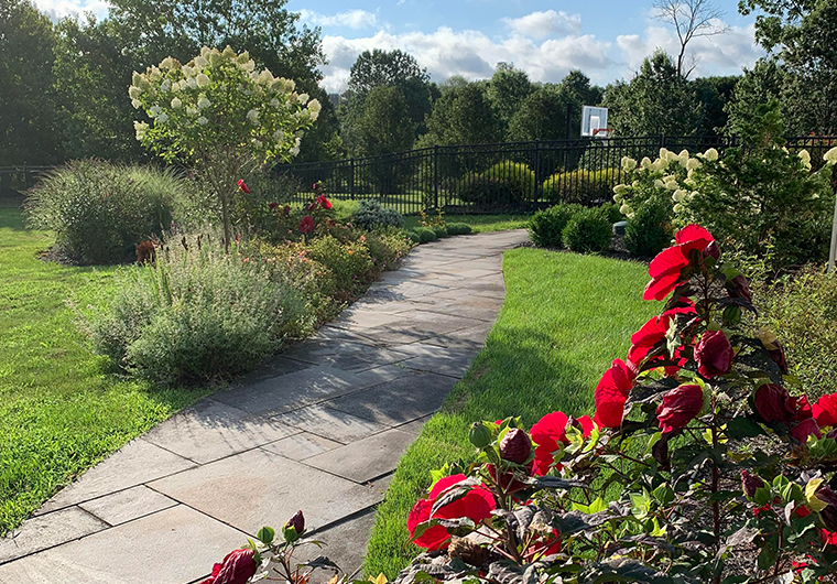 Residential Services | Gordon Eadie Landscape & Design