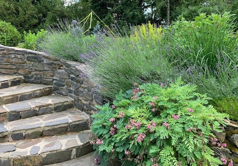 Hardscapes | Gordon Eadie Landscape & Design