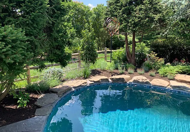 Pool Design & Surround | Gordon Eadie Landscape & Design